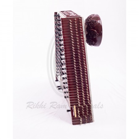 Buy String Instruments Online,String Instruments Store Delhi,String ...